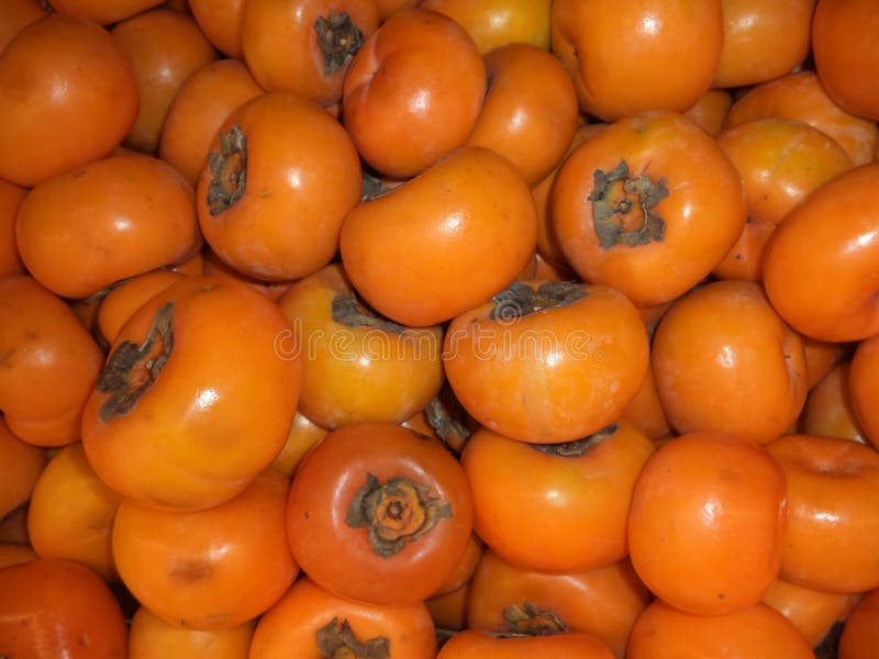Fresh Ripe Persimmon of the New Crop Stock Photo - Image of salad, ripe ...