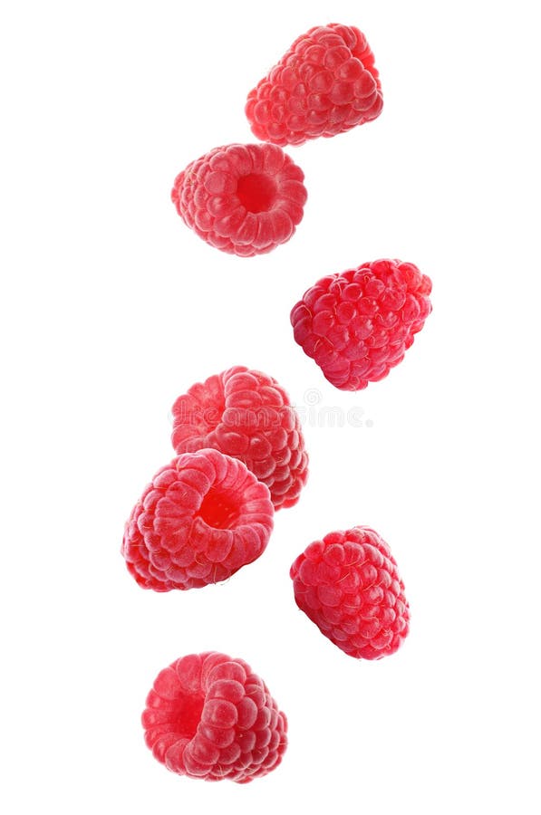Raspberries Falling Isolated on a White Background Stock Image - Image ...
