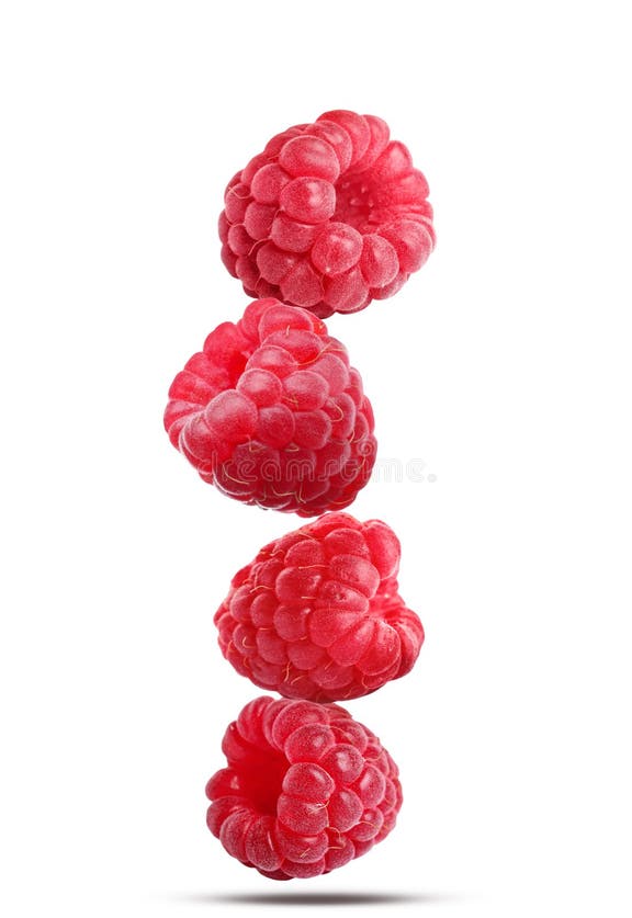 Fresh Ripe Raspberries Falling on White Background Stock Photo - Image ...