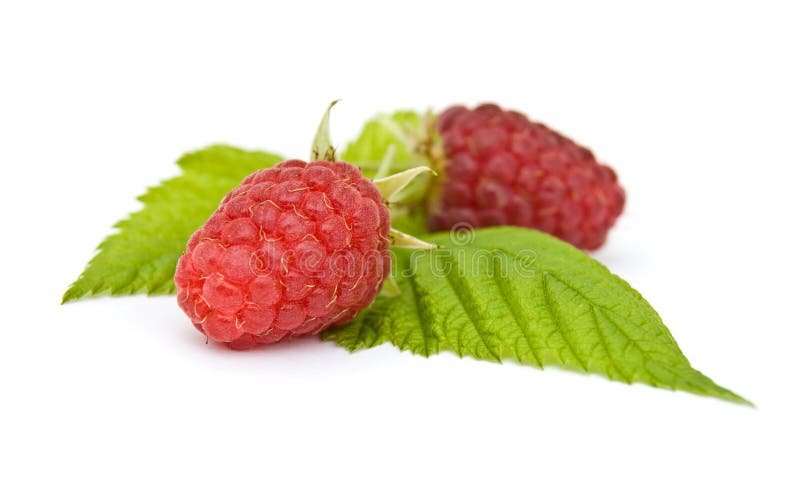 Fresh Ripe Raspberries on White Stock Photo - Image of gourmet, sweet ...
