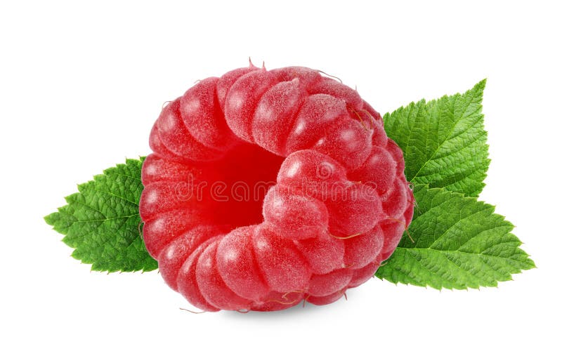 Fresh Ripe Raspberry with Green Leaves Isolated on White Stock Image ...