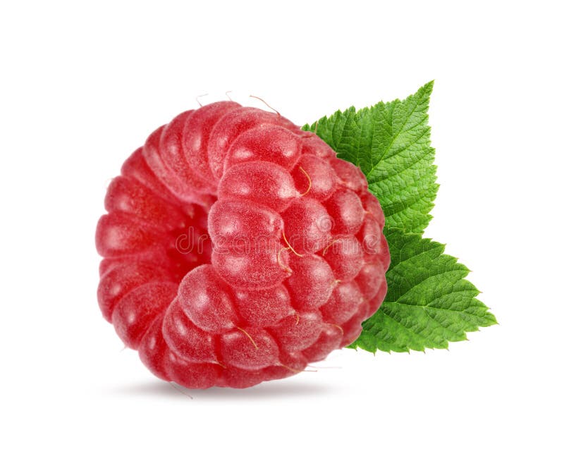 Fresh Ripe Raspberry with Green Leaves Isolated on White Stock Photo ...