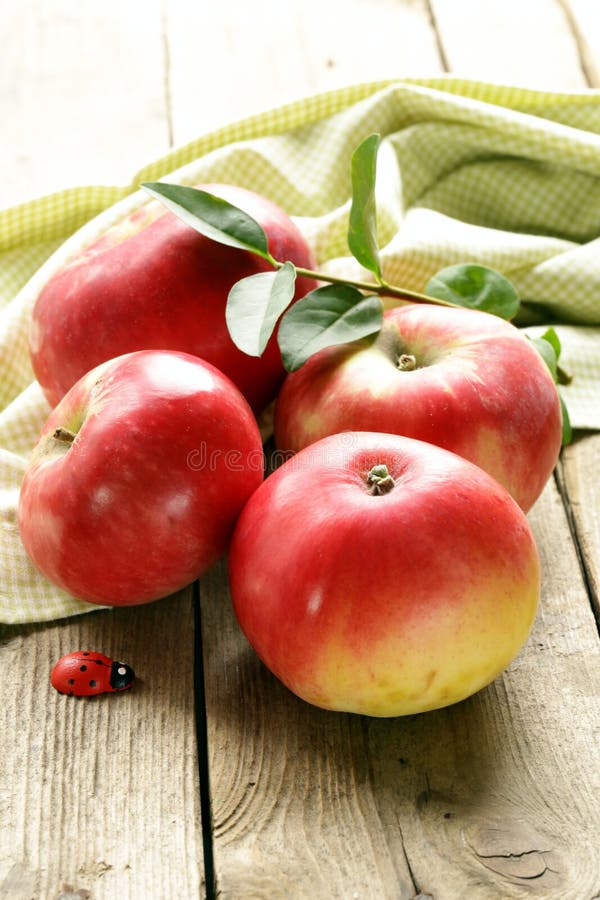Fresh ripe red apples stock image. Image of nature, summer - 32441073