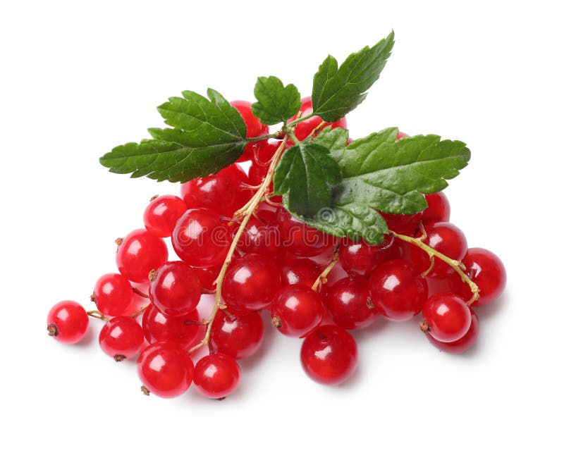 Fresh Ripe Red Currant Berries with Green Leaves Isolated on White ...