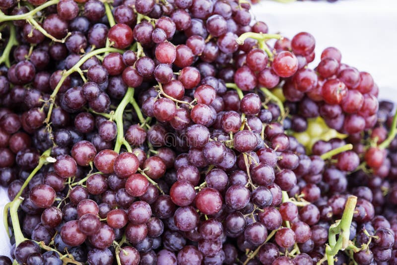 Fresh ripe juicy Red Grape stock image. Image of bunch - 147963973