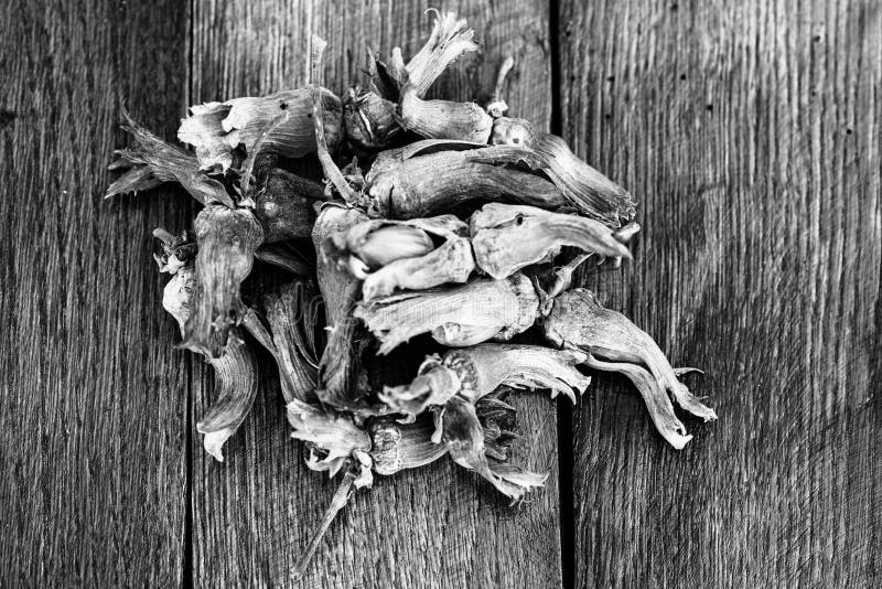 Fresh Ripe Red Hazelnuts on Wooden Table Stock Image - Image of ...