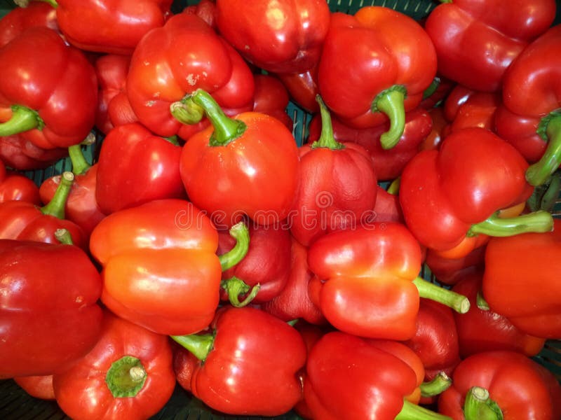 Fresh ripe red peppers stock image. Image of cropn, ripe - 136922461