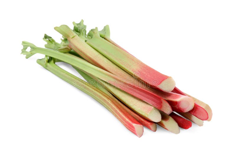 Fresh Ripe Rhubarb Stalks Isolated on White Stock Photo - Image of ...