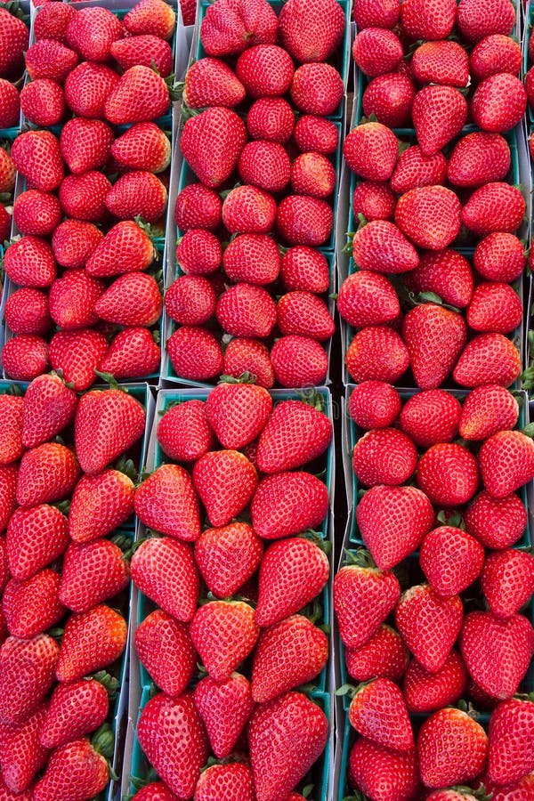 Fresh ripe Strawberries stock image. Image of harvest - 13489137
