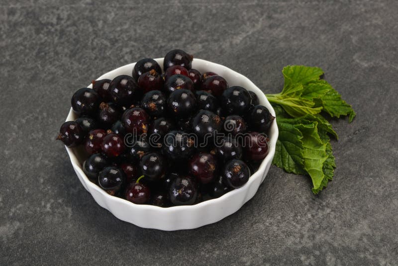 Fresh Ripe Sweet Black Currant Stock Photo - Image of black, dessert ...