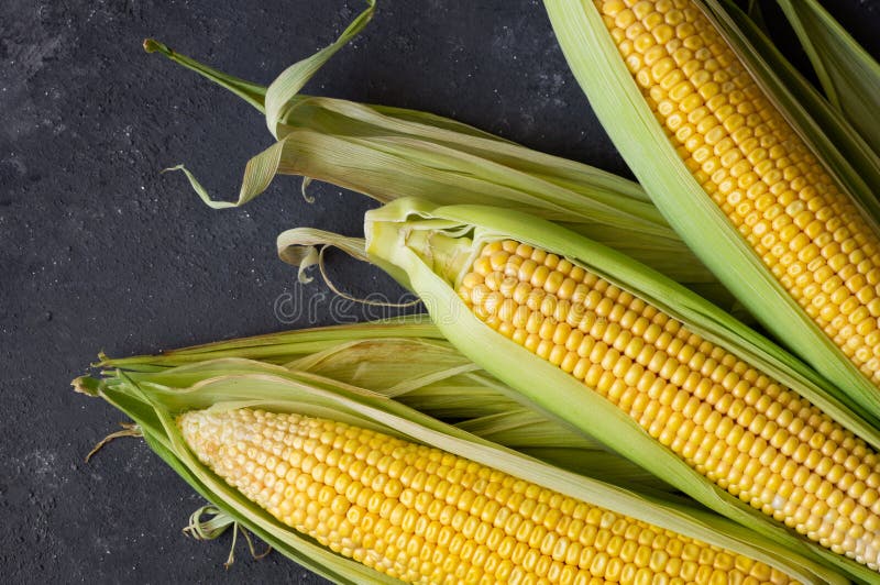 Fresh Ripe Three Half Peeled Corn Cobs on Rustic Table Stock Photo ...