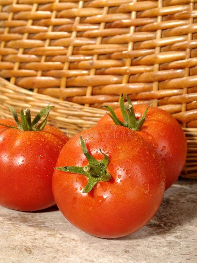 Fresh ripe tomatoes stock image. Image of vegetables - 10392777