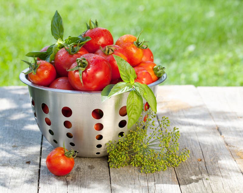 Fresh Ripe Tomatoes in Colander Stock Image - Image of kitchen, outdoor ...