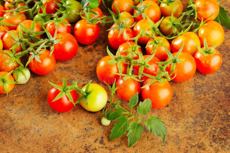 Fresh ripe tomatoes stock photo. Image of salad, closeup - 45088374
