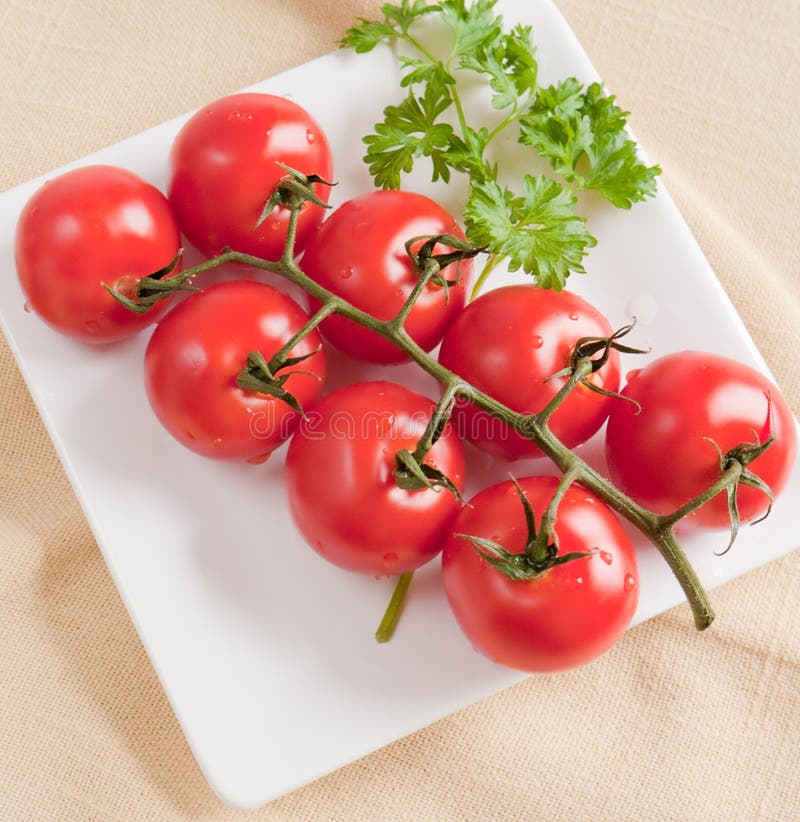 Fresh Ripe Tomatoes on the Vine Stock Photo - Image of delicious, white ...