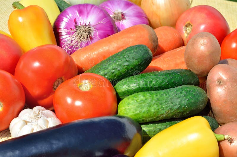 Raw, Ripe Vegetables in the Picnic Basket Stock Photo - Image of grass ...