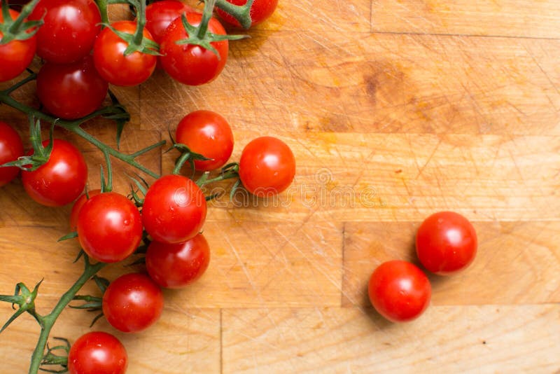 Fresh and Ripe Vine Tomatoes, Tomato on the Vine Stock Photo - Image of ...
