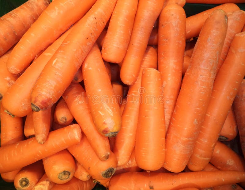 Fresh Washed Carrots of the New Crop Stock Image - Image of root ...