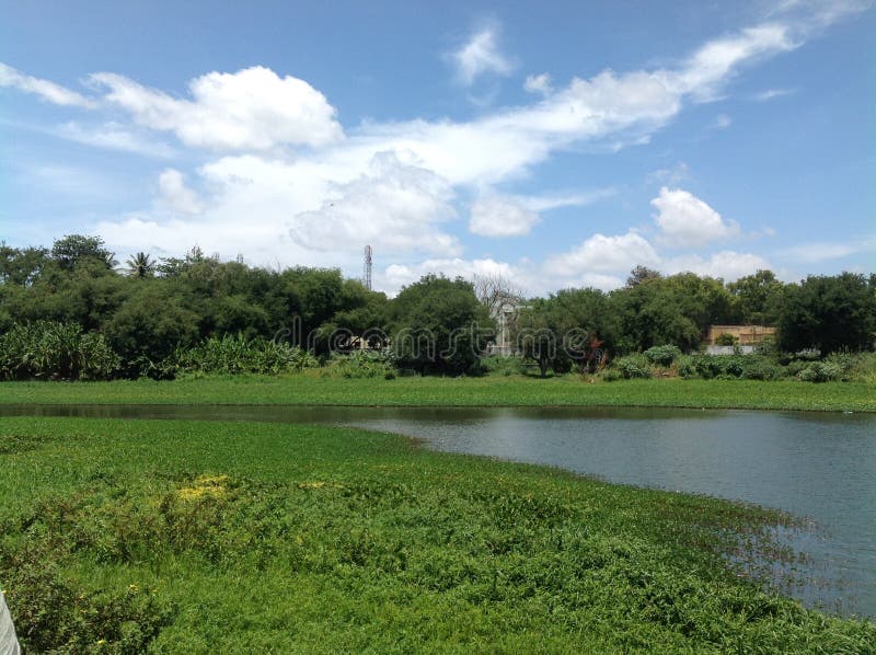 Fresh River Water Streaming Down the Rocks Stock Image - Image of ...