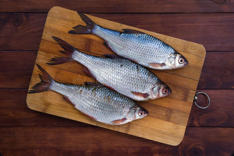 Fresh Roach Fish on Wooden Backround Stock Photo - Image of gold, river ...