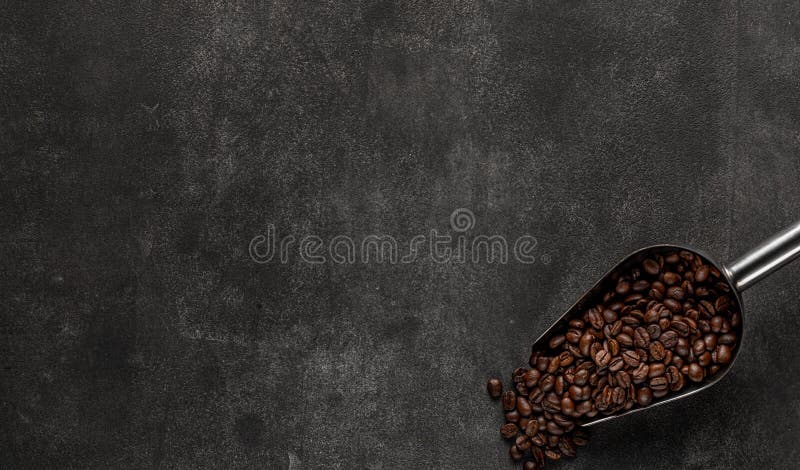 Fresh Roasted Coffee Beans in Metal Spatula Stock Photo - Image of ...