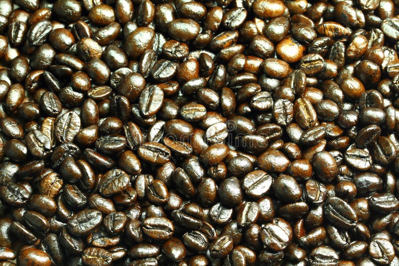 Fresh roasted coffee stock photo. Image of drink, latte - 33843276