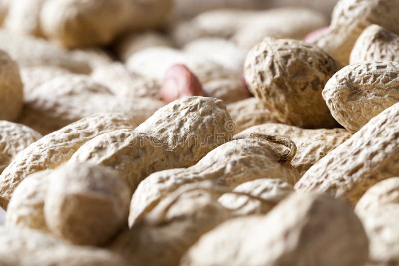 Fresh roasted peanuts stock photo. Image of nutshell - 223083004
