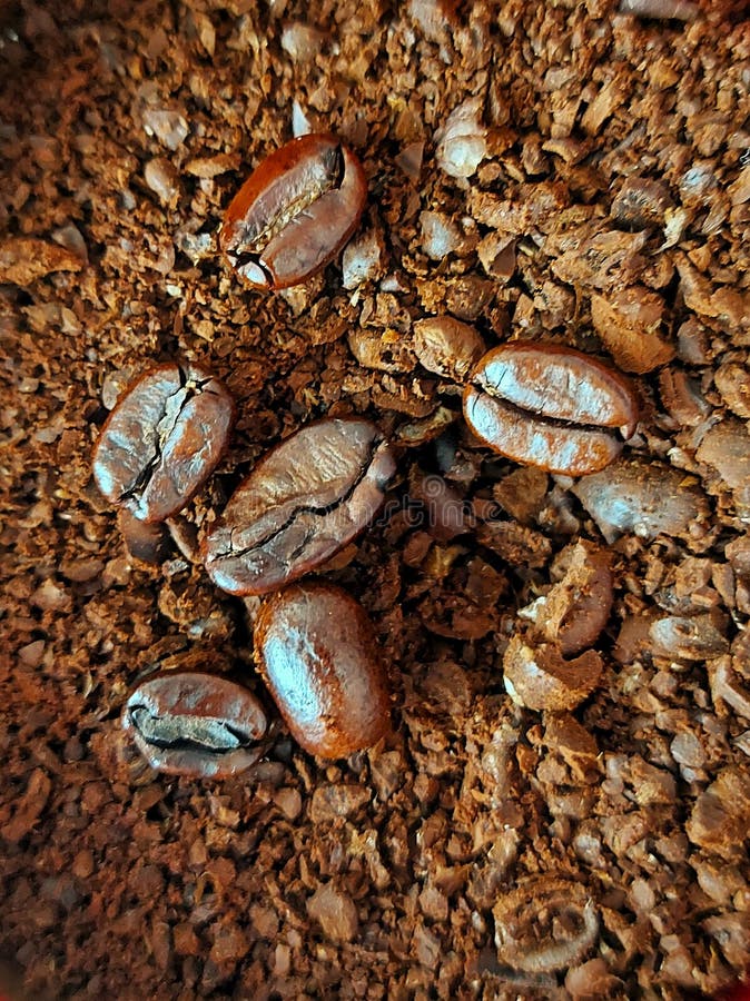 Fresh Roasted Semi Grounded Coffee Beans Stock Image - Image of ...