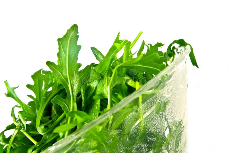 Fresh rocket stock photo. Image of lunch, copy, salad - 13581926
