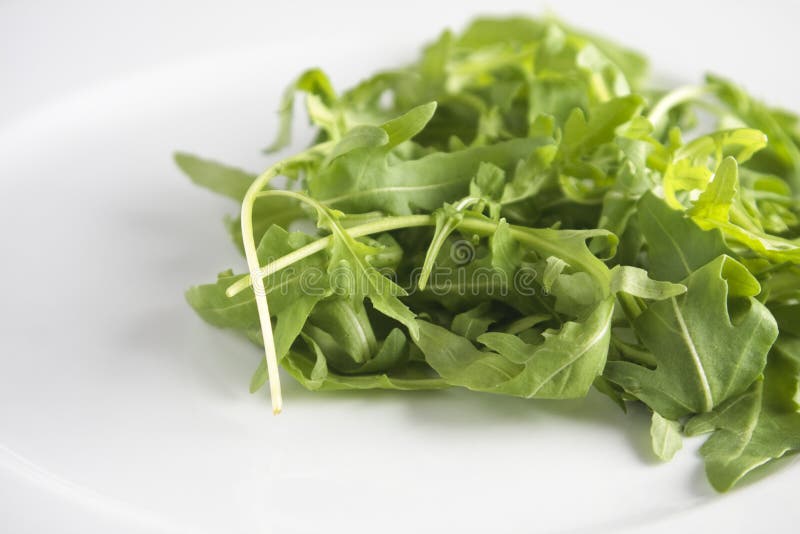 Fresh rocket stock image. Image of leaves, meal, fresh - 33539417