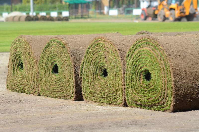 Fresh rolled-up grass turf stock image. Image of growing - 25885771