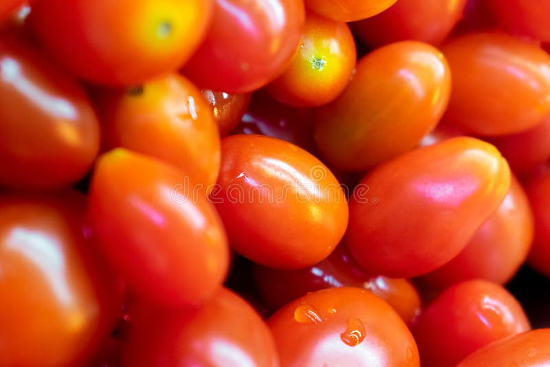 Fresh Roma Tomatoes Ready for Consumption in a Salad Bar Stock Image ...