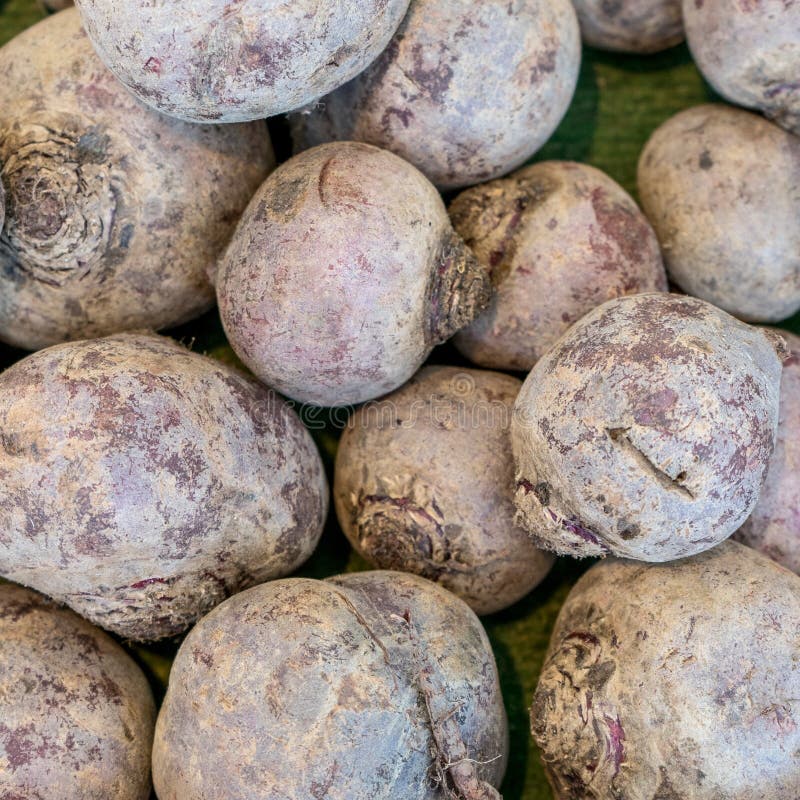 Fresh roots of beetroot stock image. Image of healthy - 112815293