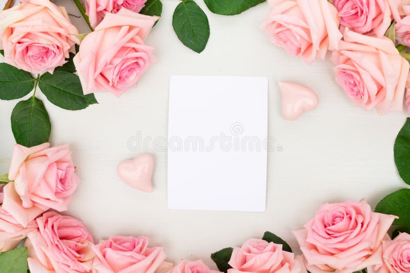 Fresh rose flowers stock image. Image of frame, flat - 165727041
