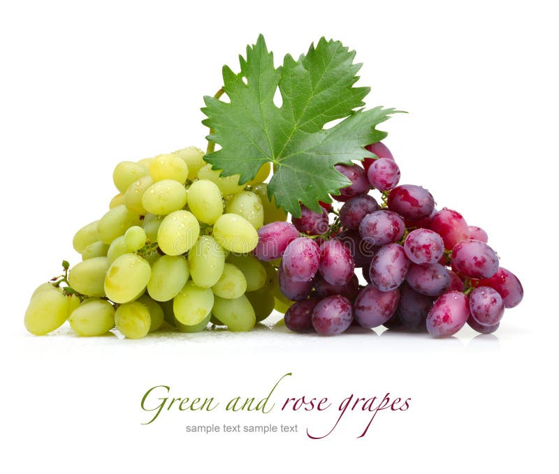 Fresh Rose and Green Grapes with Leaf Stock Image - Image of green ...