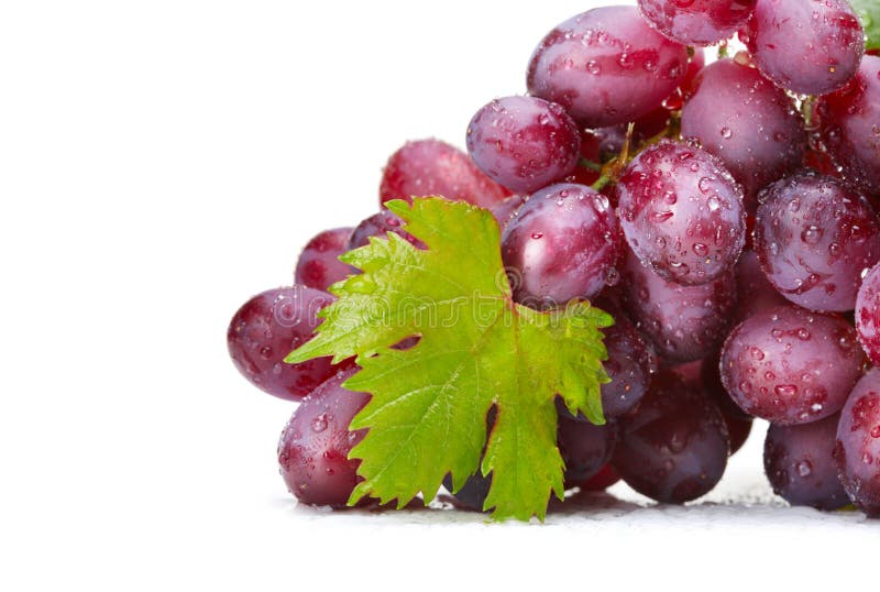 Fresh Rose Grapes with Leaf Stock Photo - Image of white, fresh: 113386196