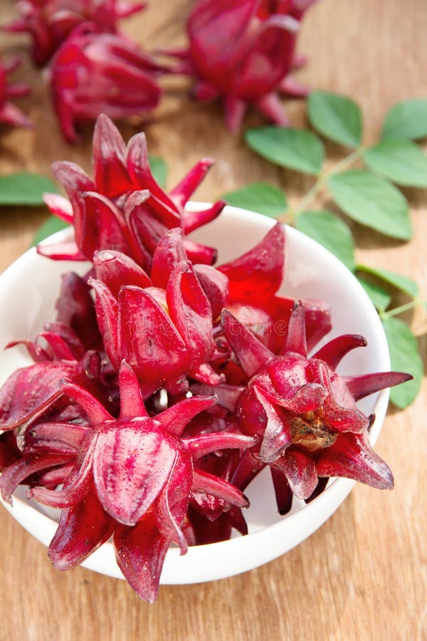 Fresh roselle flower stock image. Image of lifestyle - 48759581