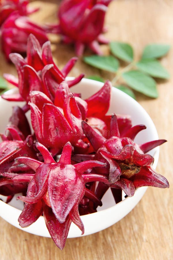 Fresh roselle flower stock photo. Image of pink, healthcare - 48759602