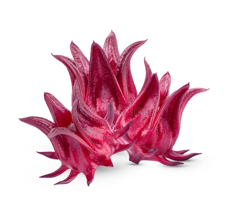 Fresh Roselle Fruits Isolated on White Background Stock Photo - Image ...