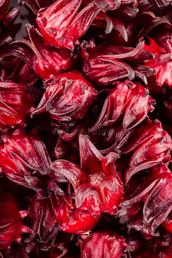 Fresh Roselle Isolate on White Background Stock Image - Image of ...