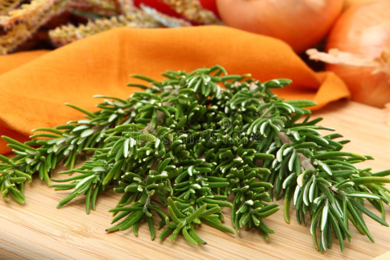 Fresh rosemary stock image. Image of onion, ingredients - 11935807