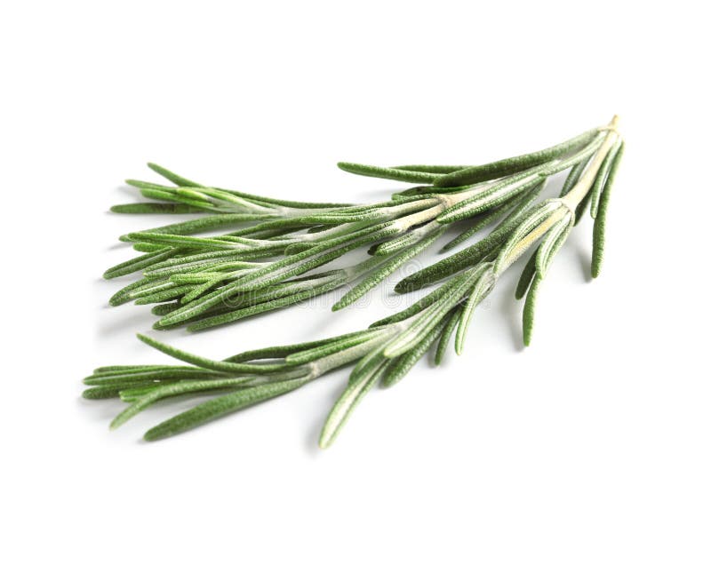 Fresh Rosemary on Background Stock Photo - Image of aromatic, healthy ...