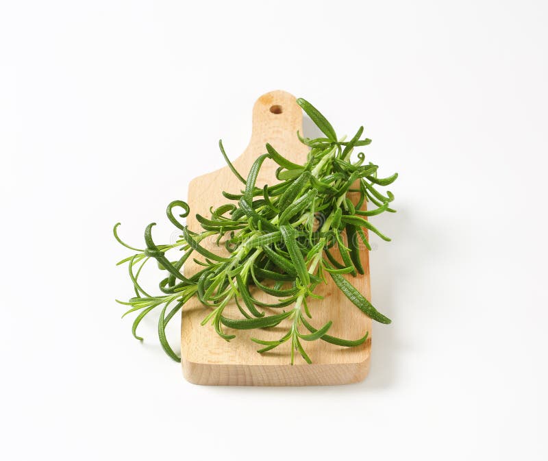 Fresh rosemary sprigs stock photo. Image of ingredient - 143921544