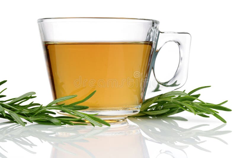 Fresh Rosemary and Tea Cup Isolated on White Stock Photo - Image of ...