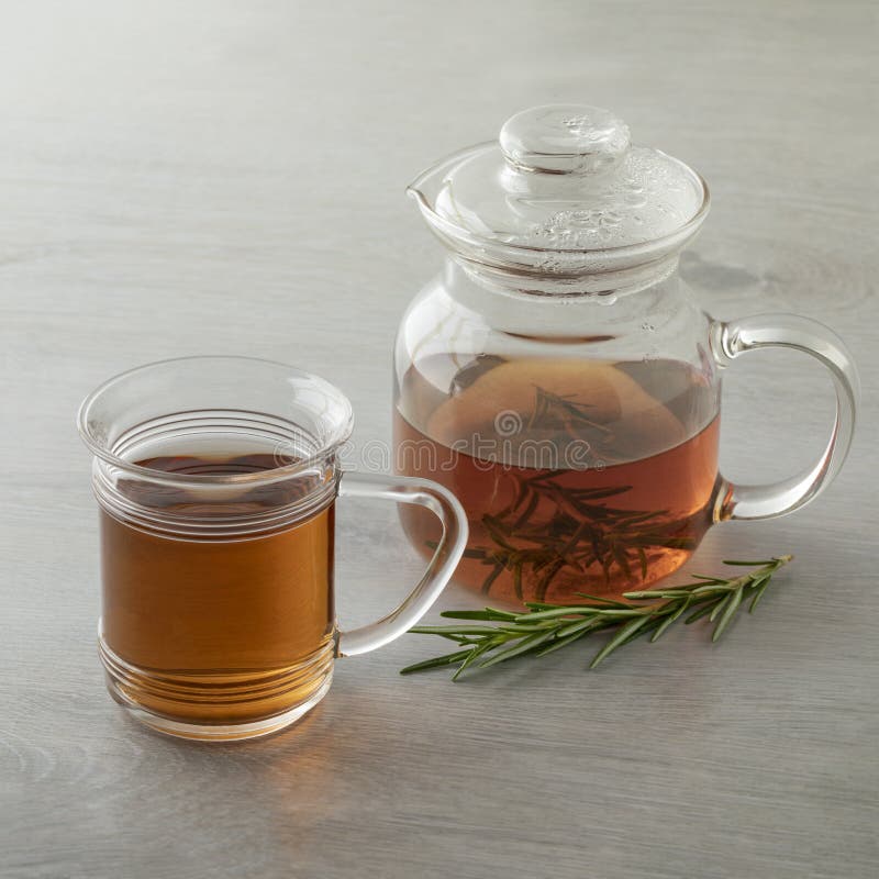 Fresh Rosemary Tea and Fresh Twig Stock Photo - Image of officinalis ...