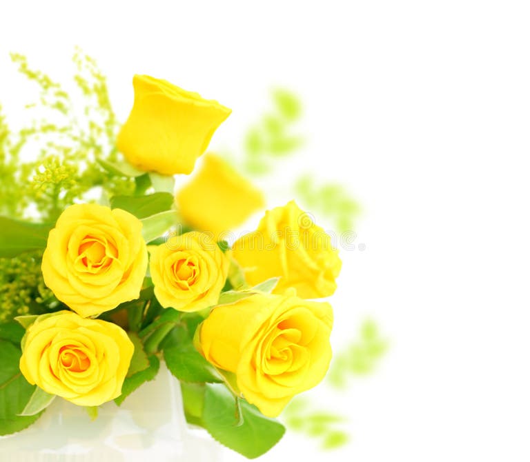 161 Yellow Rose Corner Border Stock Photos - Free & Royalty-Free Stock ...