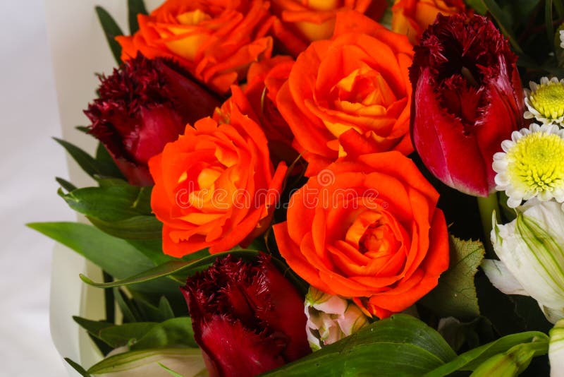 Fresh roses bouquet stock photo. Image of green, gift - 132608046