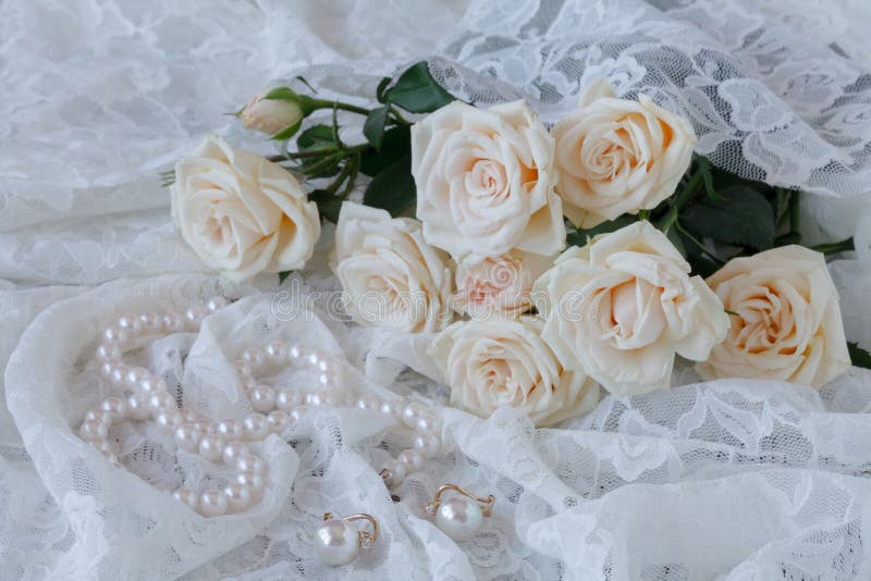 Fresh Roses Flowers with Pearls Stock Photo - Image of pearls, flower ...