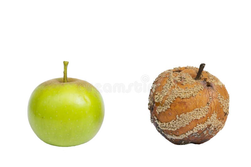 Green and rotten apple stock image. Image of death, closeup - 57658381
