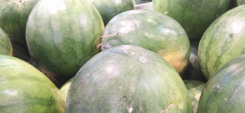 Fresh Round Watermelon Fruit with Varying Large Sizes Stock Image ...